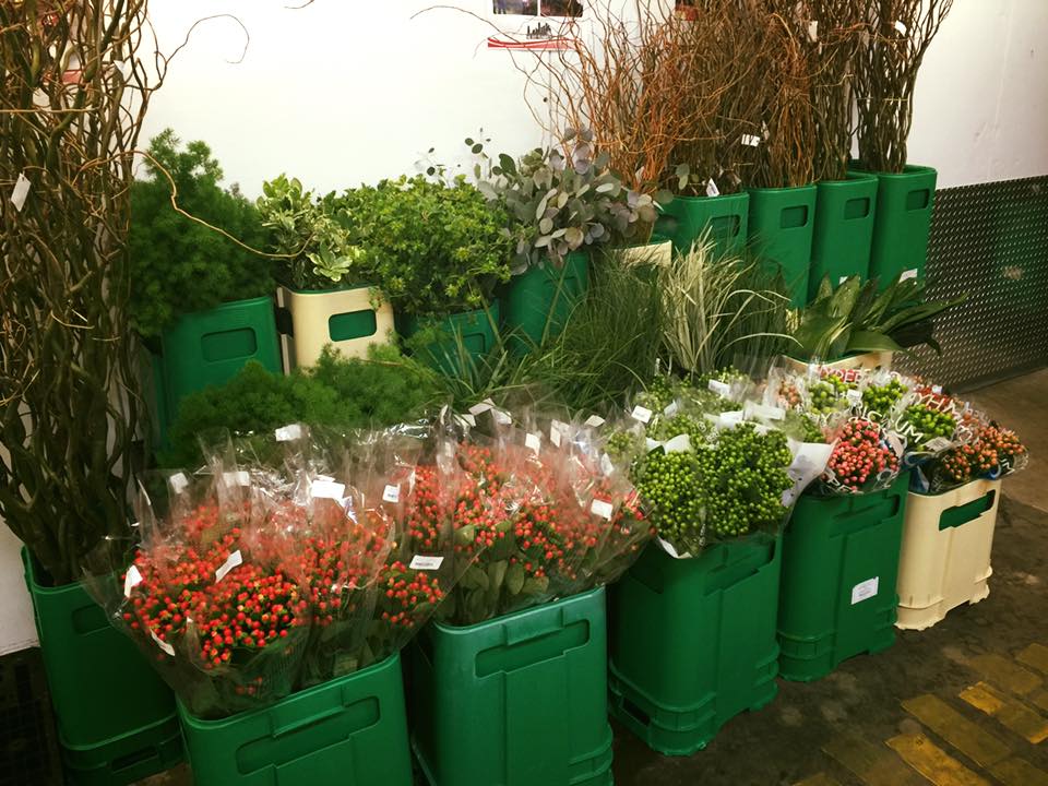 OUR WAREHOUSE | wegotflowers