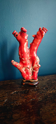 Chinese red coral fragment | Magari antiques