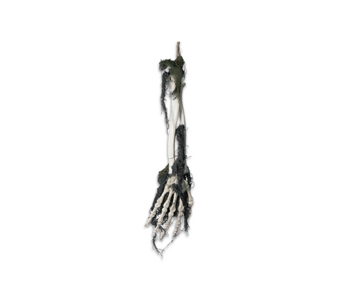 Hanging Skeleton Arm with Cloth 42cm | Sandton Decor Hire