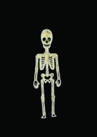 Lightup Skeleton Neon Outline 90cm | Sandton Decor Hire