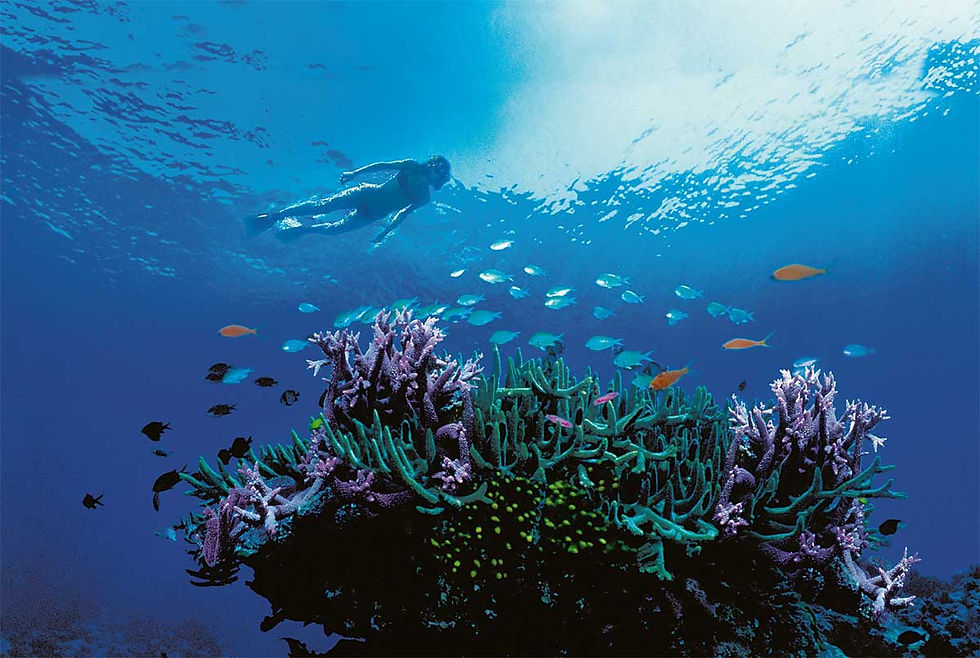 AQUARIUM