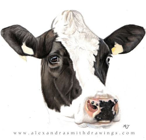 Dairy Cow Tutorial | website