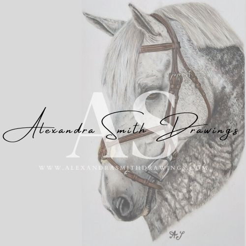 Home | Alexandra Smith Drawings
