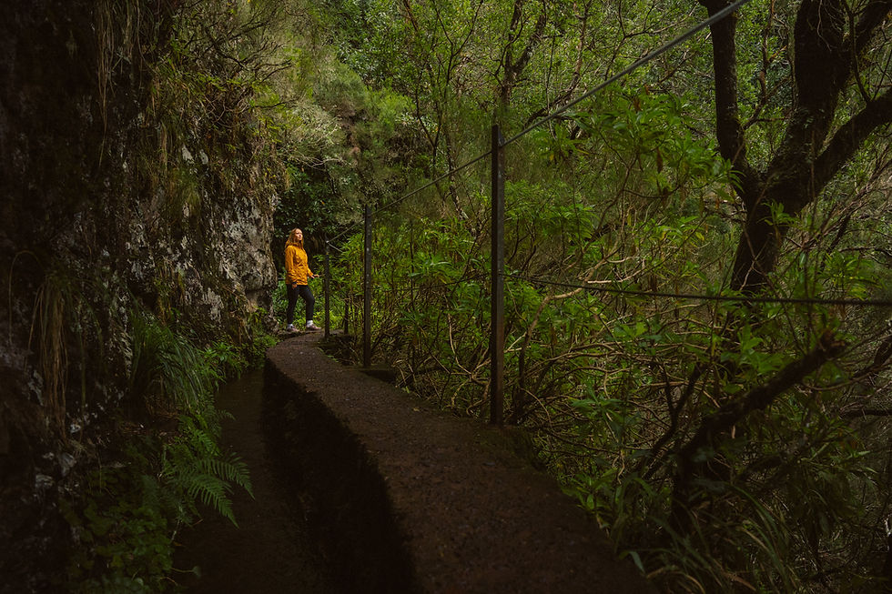 Madeira Levada PR9 Caldeirão Verde Waterfall Hike