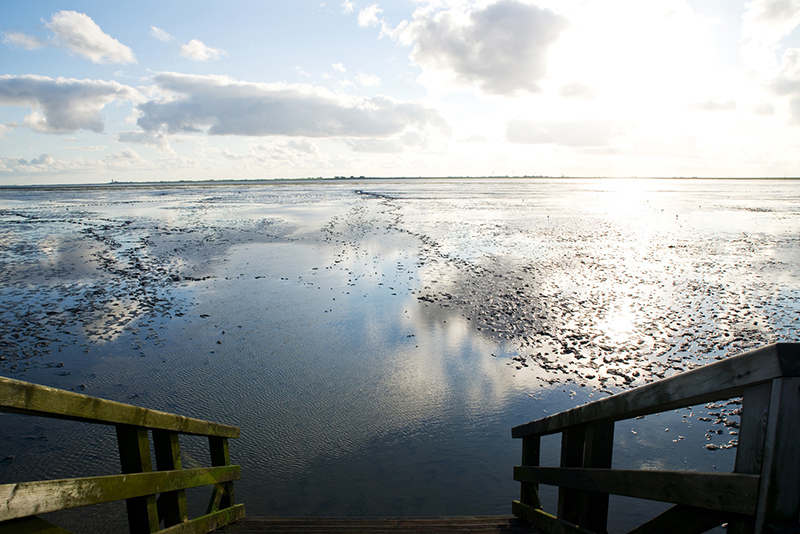 Husum | Nordseecamping