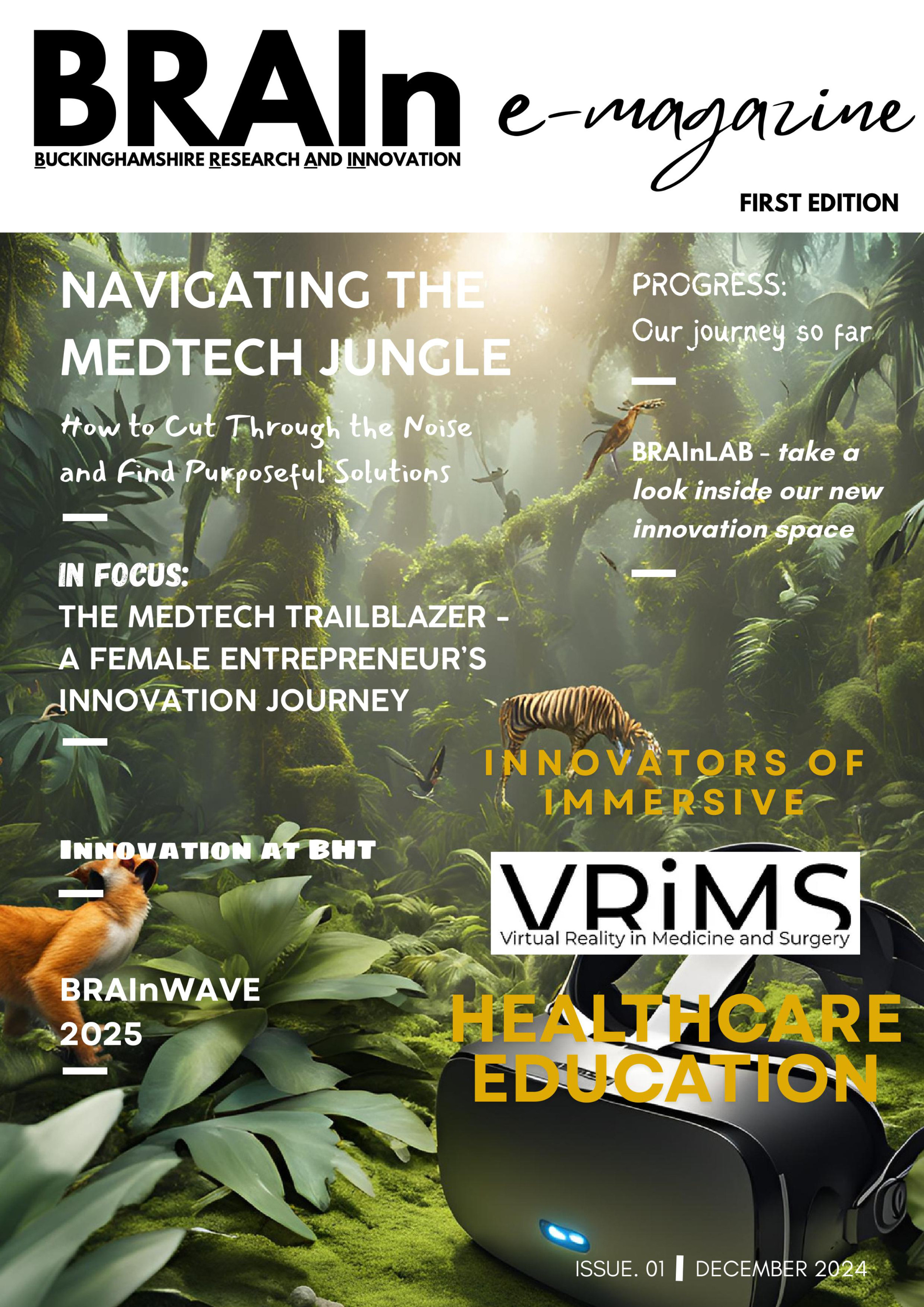 BRAIn e-magazine | Issue 1 | Dec 2024