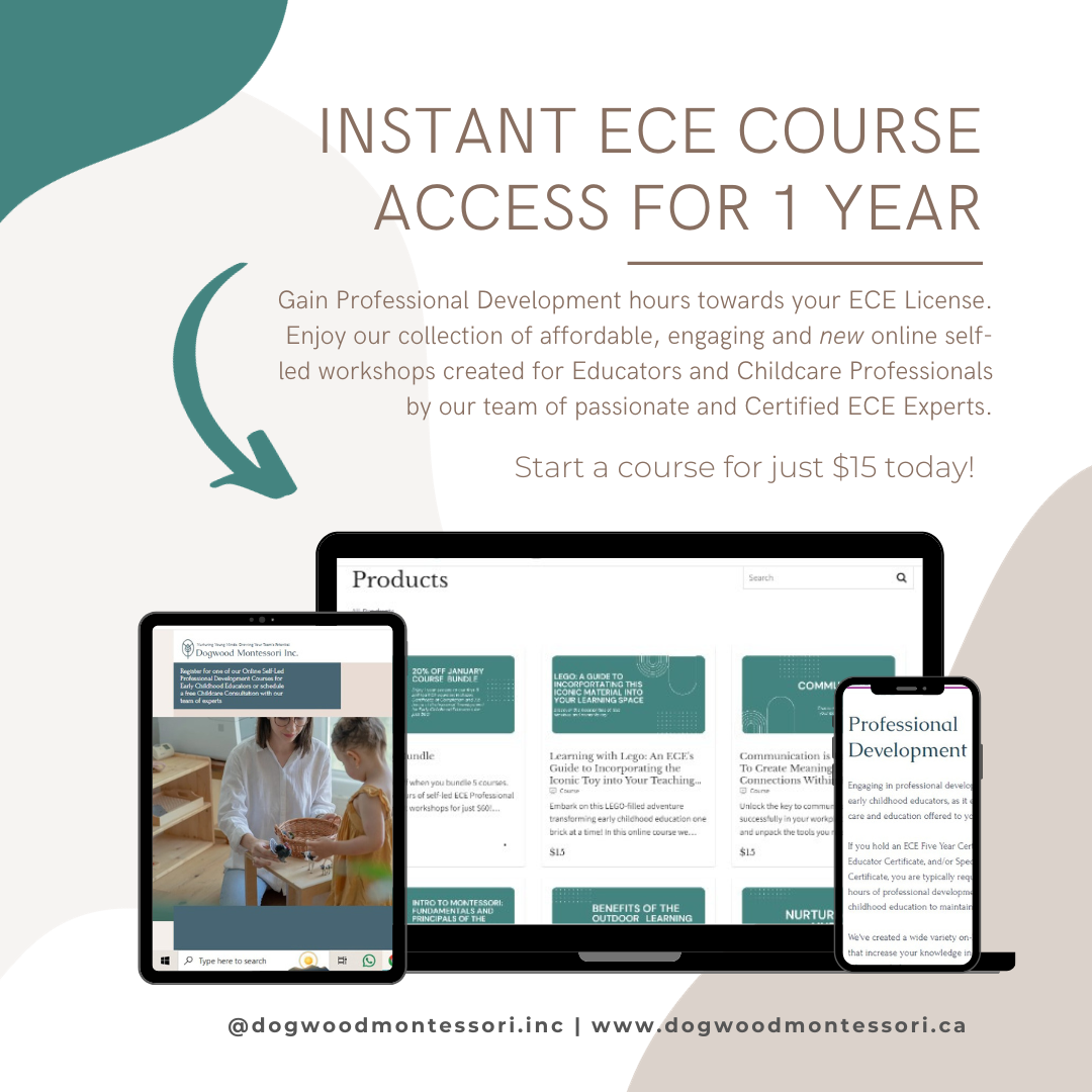 ECE Professional Development Workshops