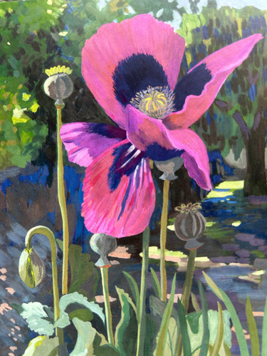 Card -Evening Poppy | katrin-eagle-painting