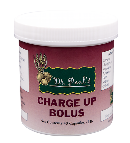 Charge Up Bolus | Dr. Paul's Lab