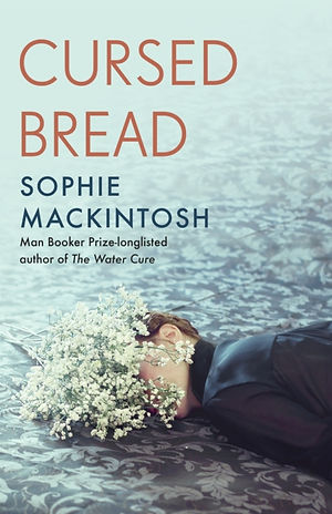 Independent Bookshop | Clemo Books | Newquay