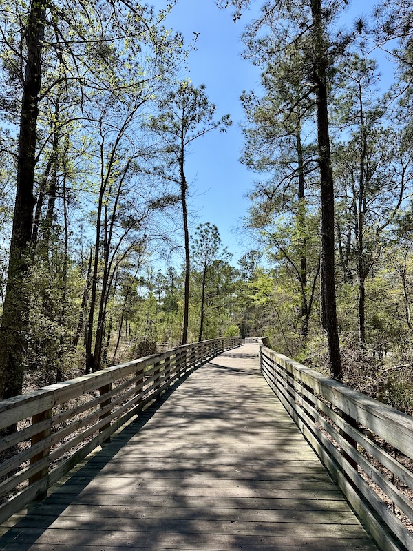 2025 Georgia Bucket List