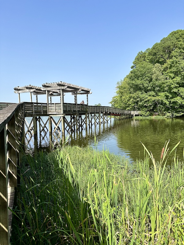 2025 Georgia Bucket List