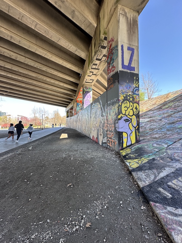 2025 Georgia Bucket List