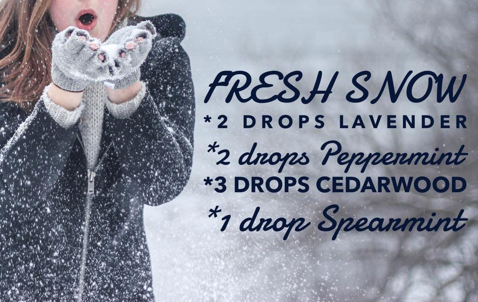 Fresh Snow Diffuser Blend