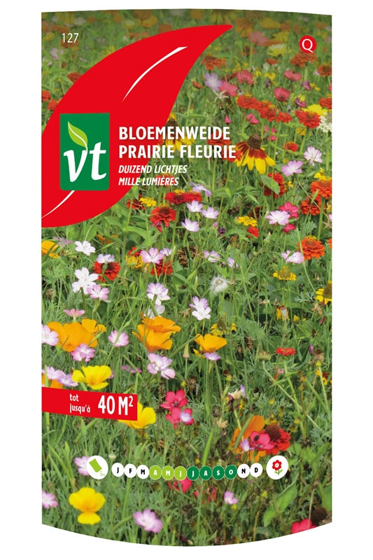 Bloemenweide duizend lichtjes | Bloemen Wimco