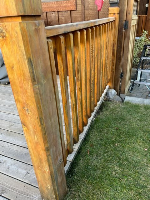 GALLERY | Mount Peechee