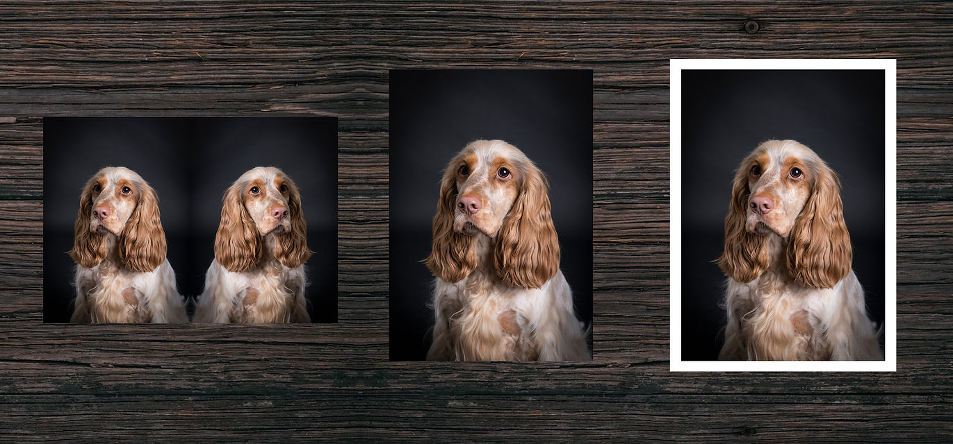 Photo Printing | Photo Solutions Studio