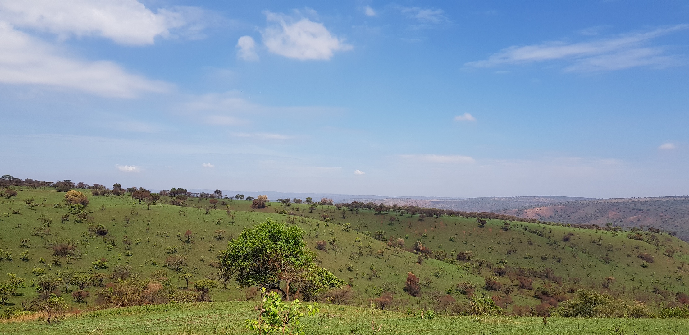 Tour operator in Rwanda | Countryside Tours-Rwanda