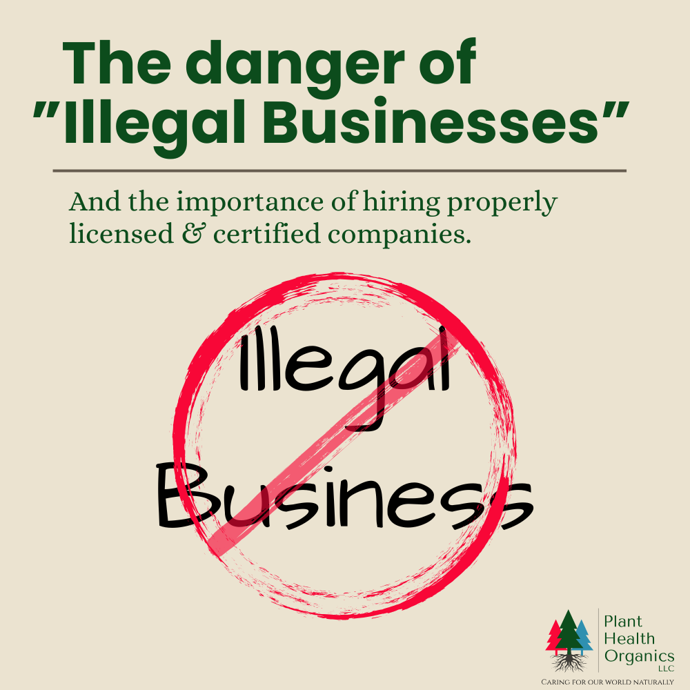 The Danger of “Illegal Businesses”