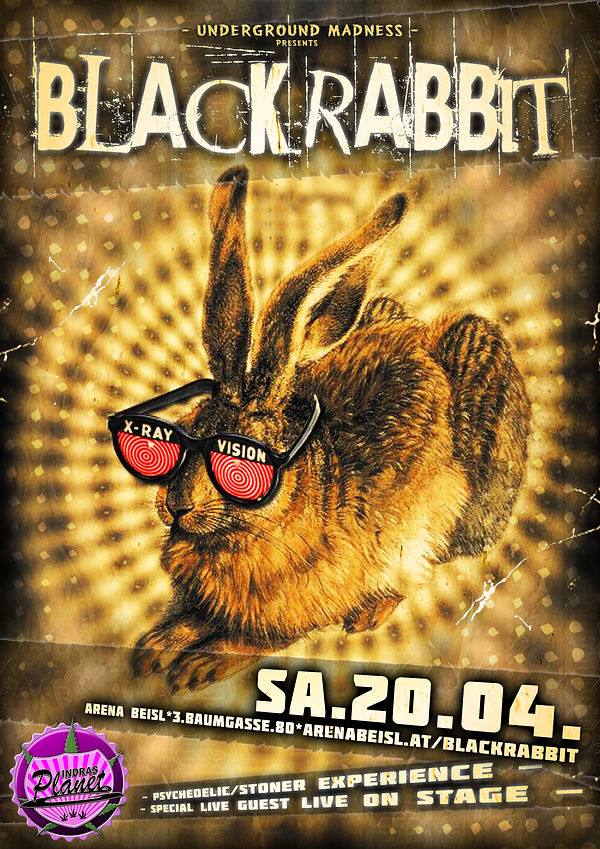 Black Rabbit | Arena Beisl