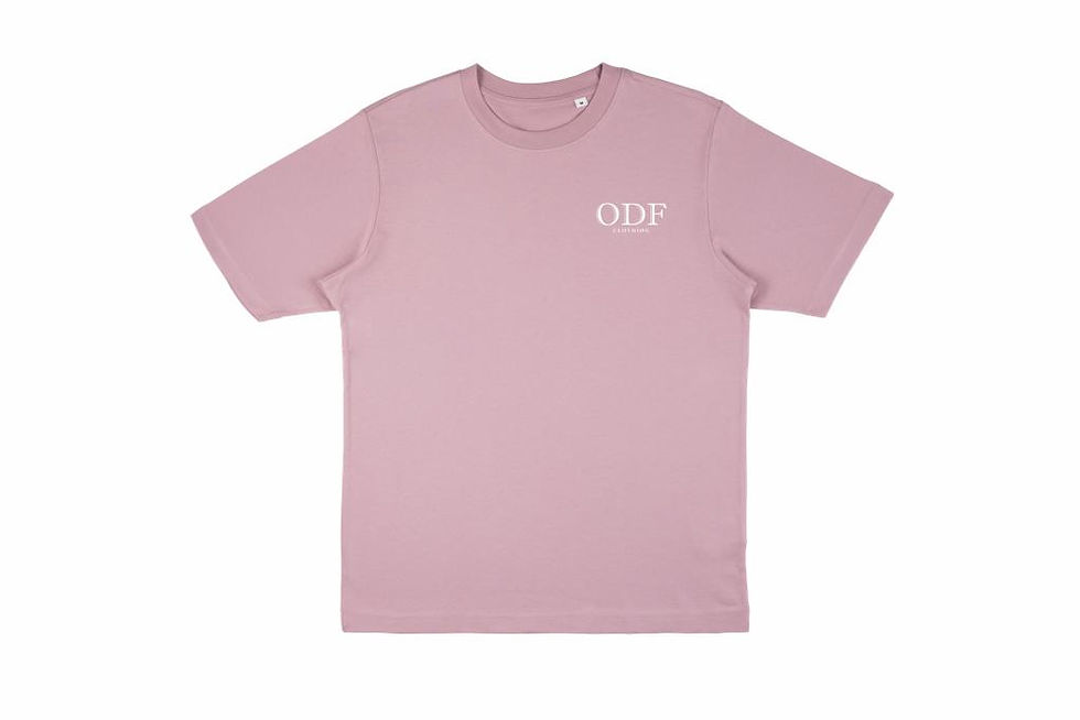 PASTEL PINK LEAGUE OF CHAMPIONS OVERSIZED T-SHIRT | ODF Clothing