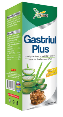 GASTRIUL PLUS JARABE 500 ML | Farmacia