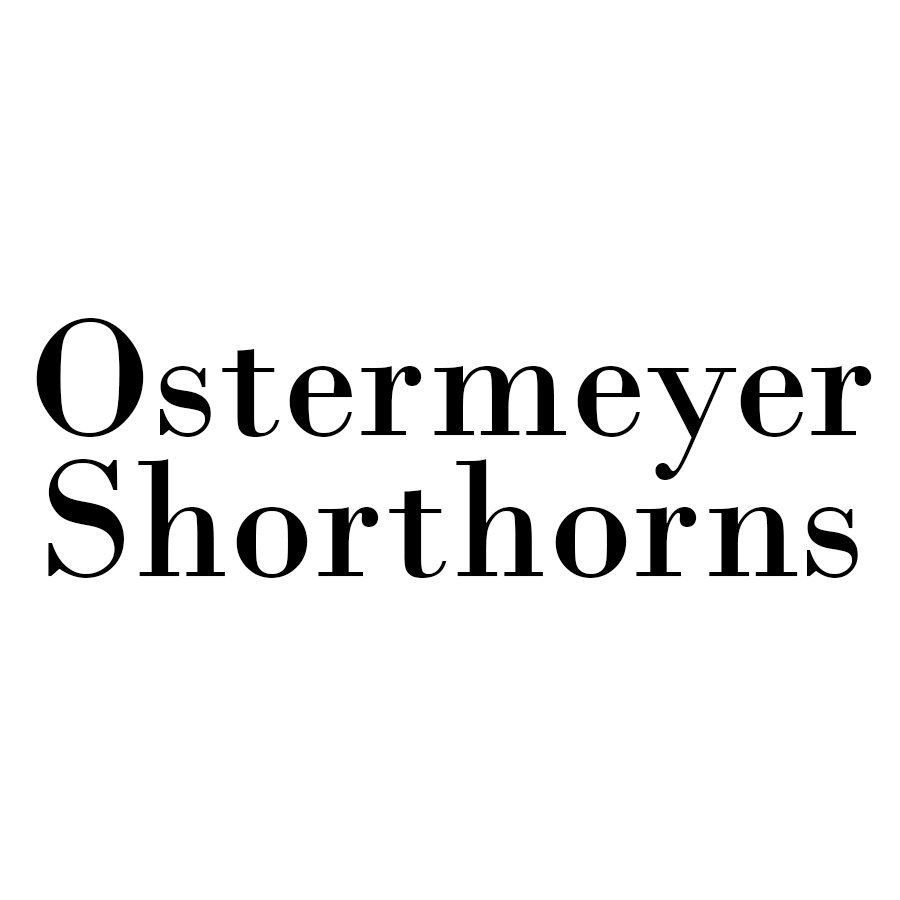 Ostermeyer Shorthorns | Missouri Shorthorn
