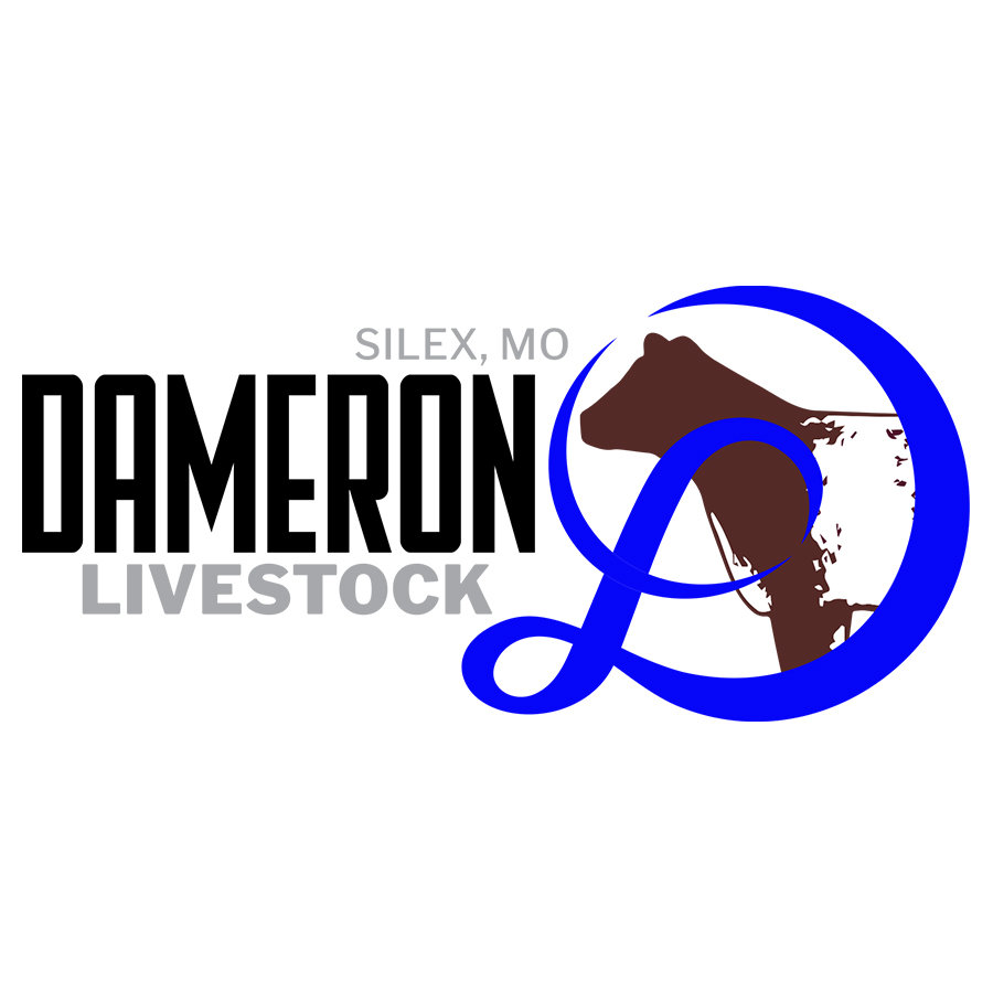 Dameron Livestock | Missouri Shorthorn