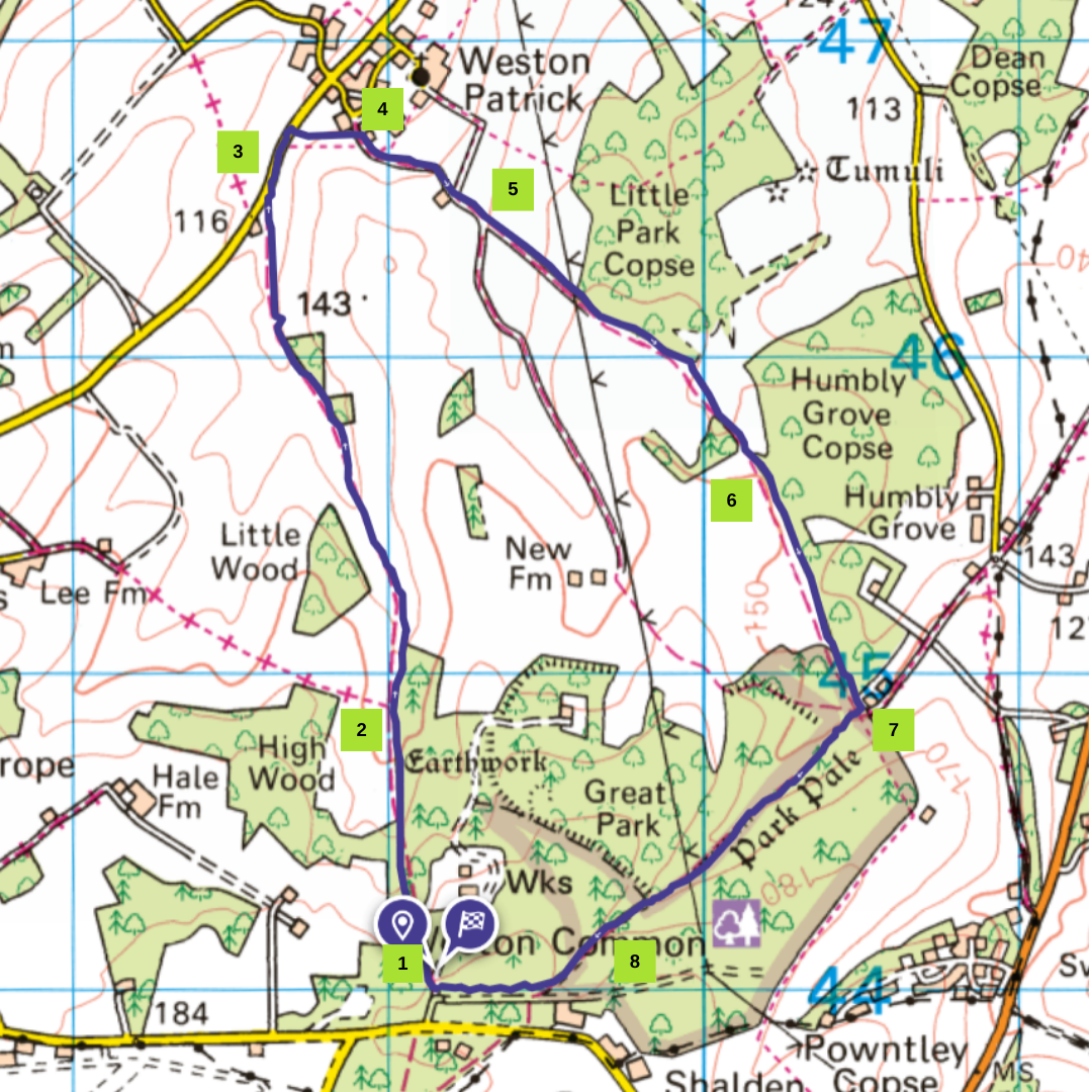 Weston Common to Weston Patrick | Walk Alton
