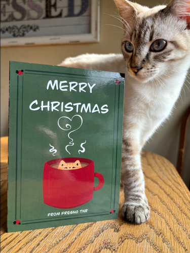 Fresno T.N.R. Christmas Cards | Fresno TNR