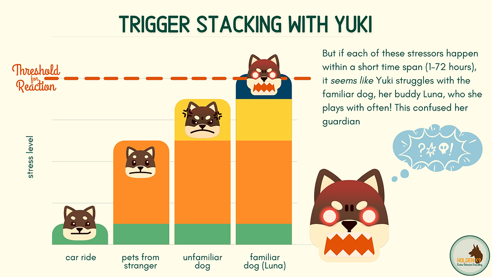 Trigger Stacking In Humans at Dexter Alba blog