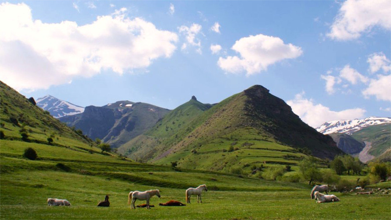 Sharr National Park | Kosova Vista