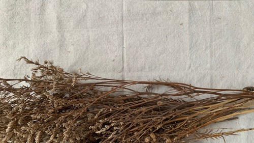 All Products | Mike Charlie Co.