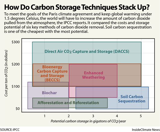 Carbon credits - what are they and how do they work?