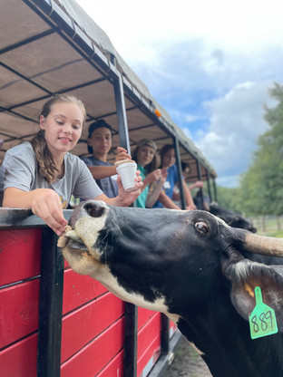 HOME | diamonddranch