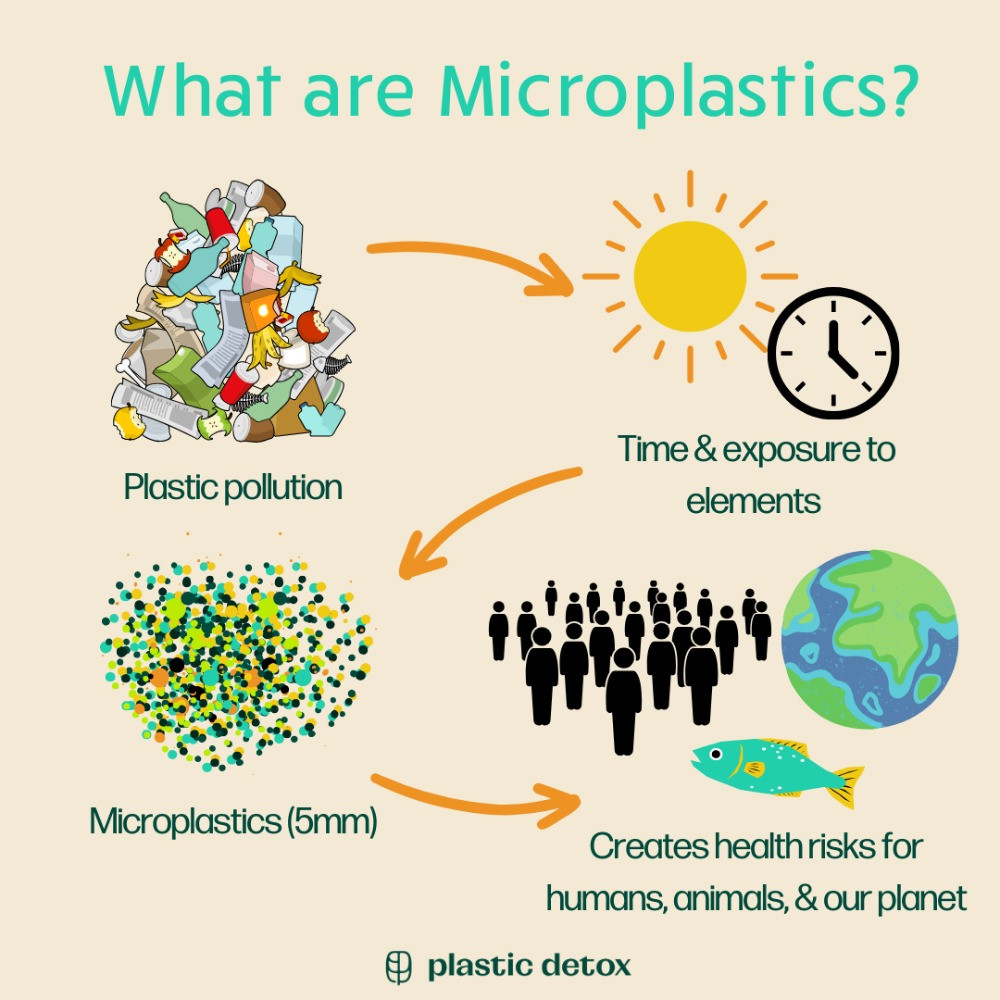 A Beginner’s Guide to Microplastics: What Are They and Why Are They a ...