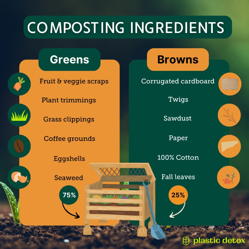A Guide to Composting for Beginners