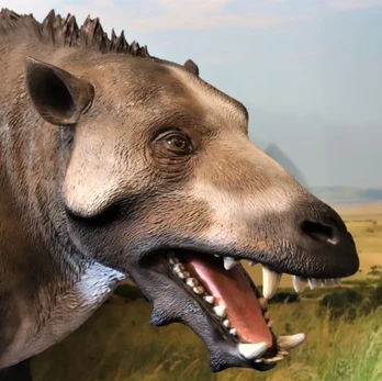 Museum of Prehistoric Life | Aikman Wildlife Adve