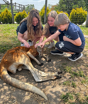 Animal Tours & Encounters | Aikman Wildlife Adve
