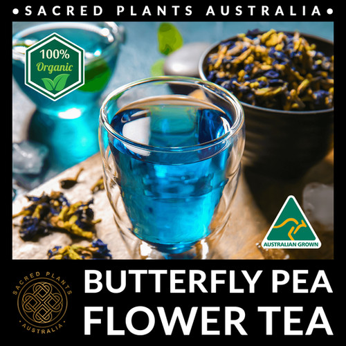 BUTTERFLY PEA Flower Tea | Clitoria ternatea | Sacred Plants Australia