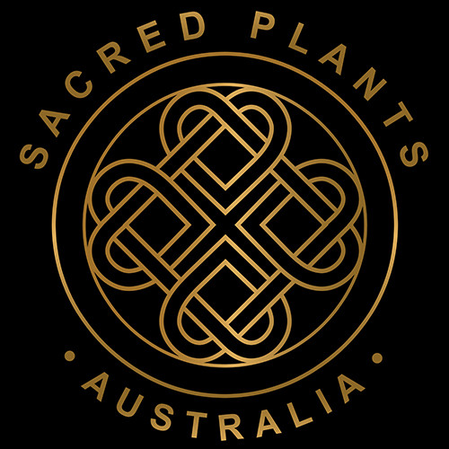Sacred Plants Australia | Sacred Seeds, Ethno Medicines & Tools