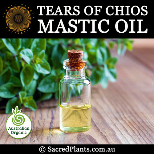 MASTIC Oil | Pistacia lentiscus | Sacred Plants