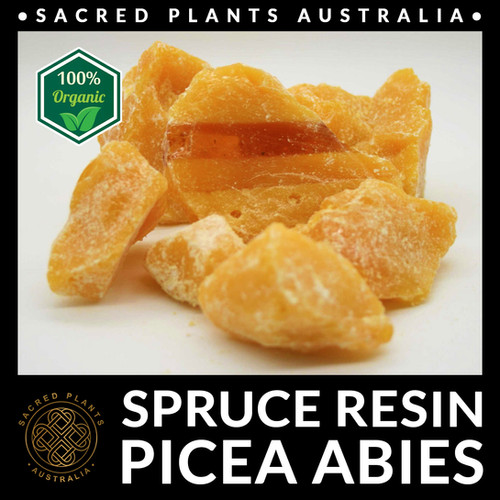 SPRUCE Resin | Picea abies | Sacred Plants Australia