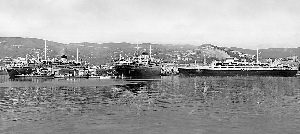 Historical Society | italianliners