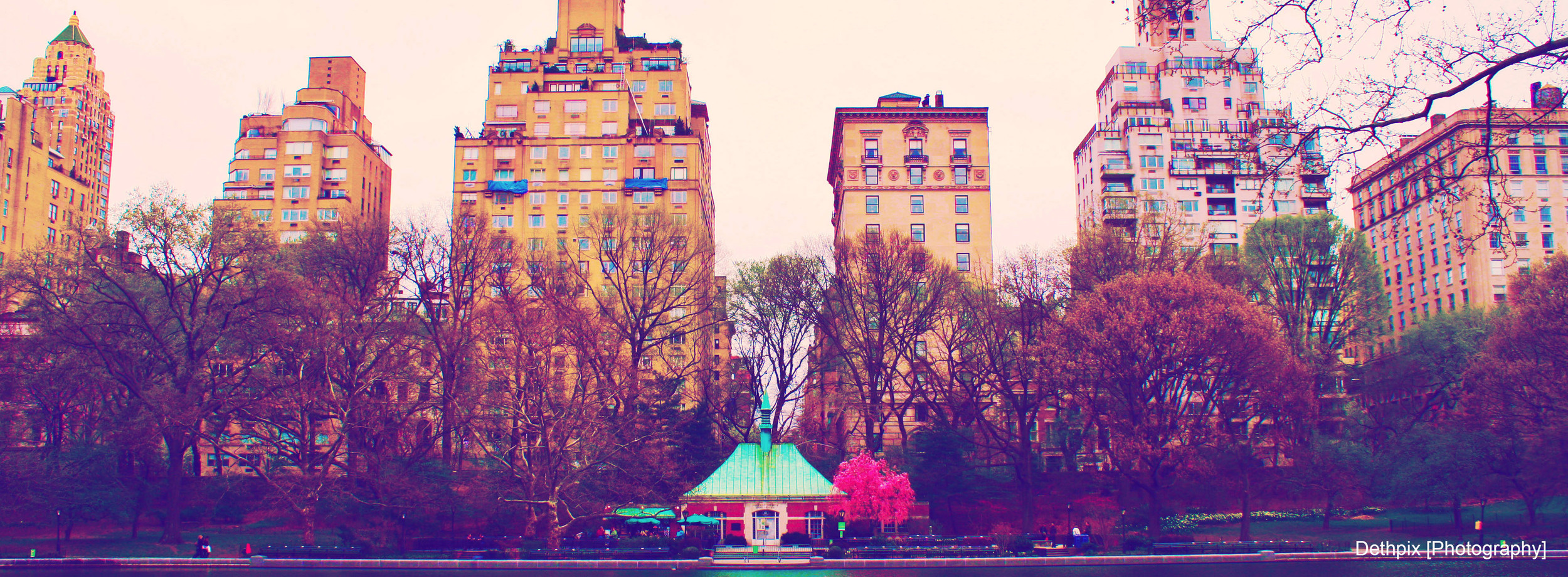 MONUMENTS | Photography