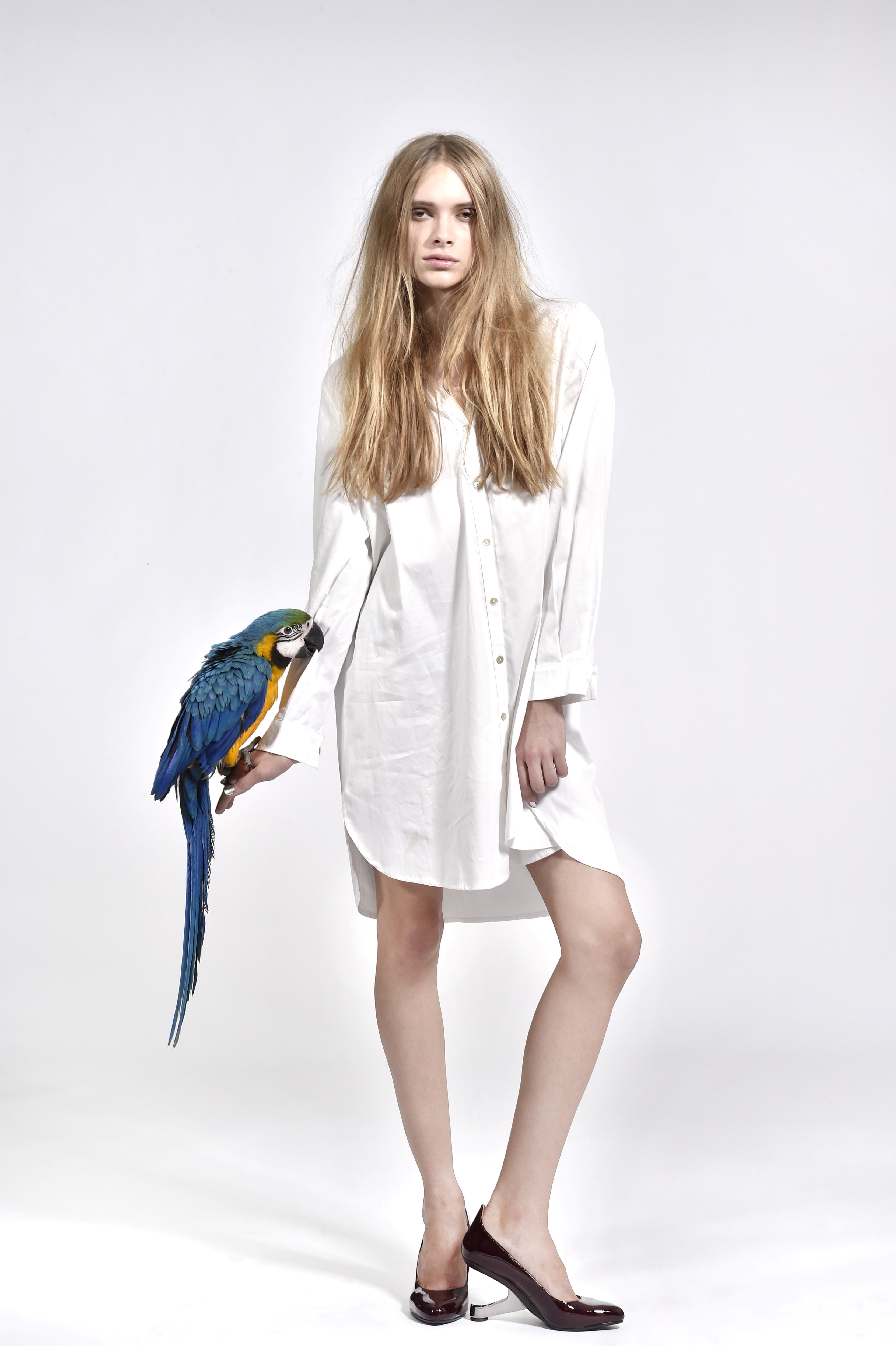 DIVO Mgmt. | Women - Stav Strashko