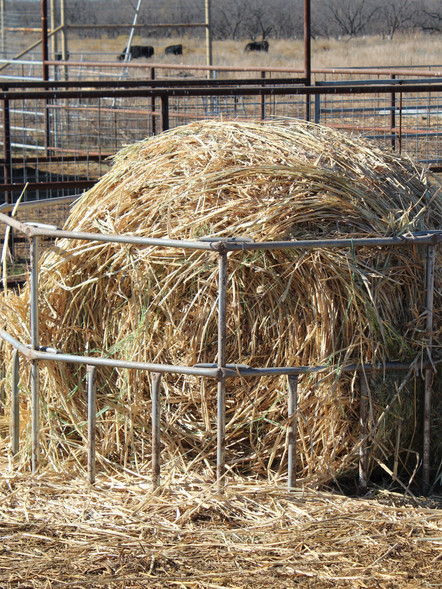 PRODUCTS | DD Gates & Panels