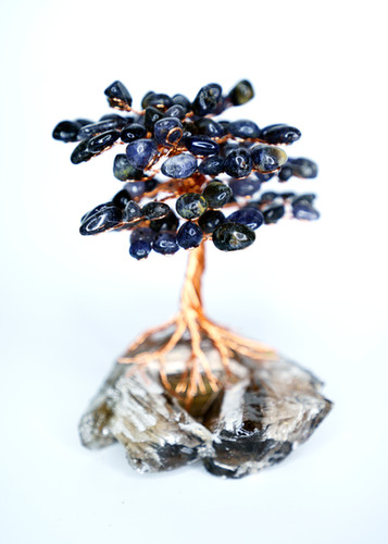 Iolite Astra Tree | Astra Gems