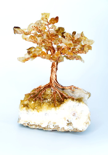 Rough Natural Citrine Astra Tree | Astra Gems
