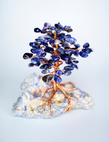 Sodalite Astra Tree | Astra Gems